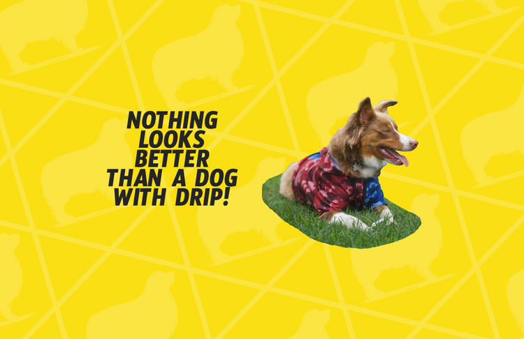 Doggy Drip Shop | Designers Dog Hoodies